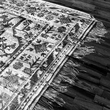 Het uitgehakte kleed van Selva Aparicio - wowwood