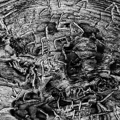 Het houten Dispilio-tablet - wowwood