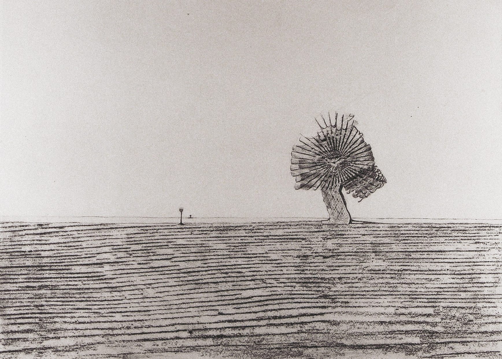 Max Ernst wreef houtnerven over op papier - wowwood